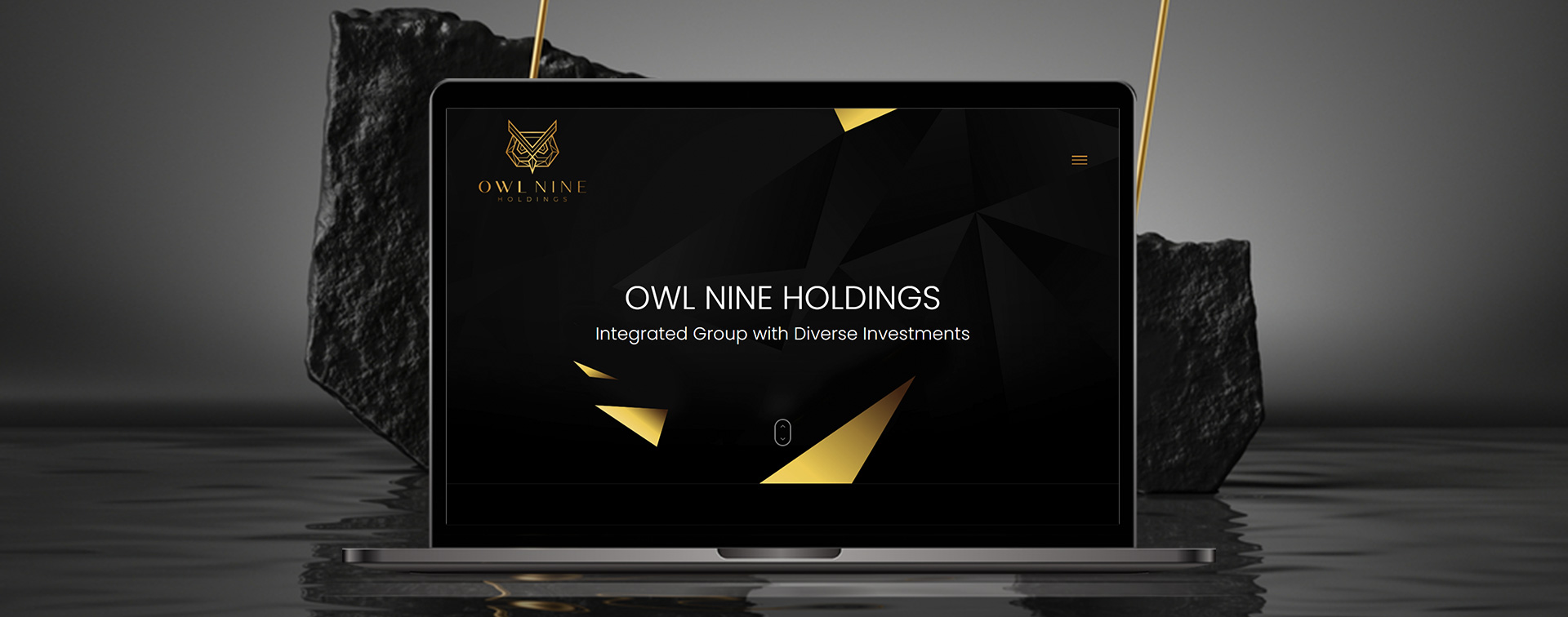 Website Development Service for Owl Nine Holdings
